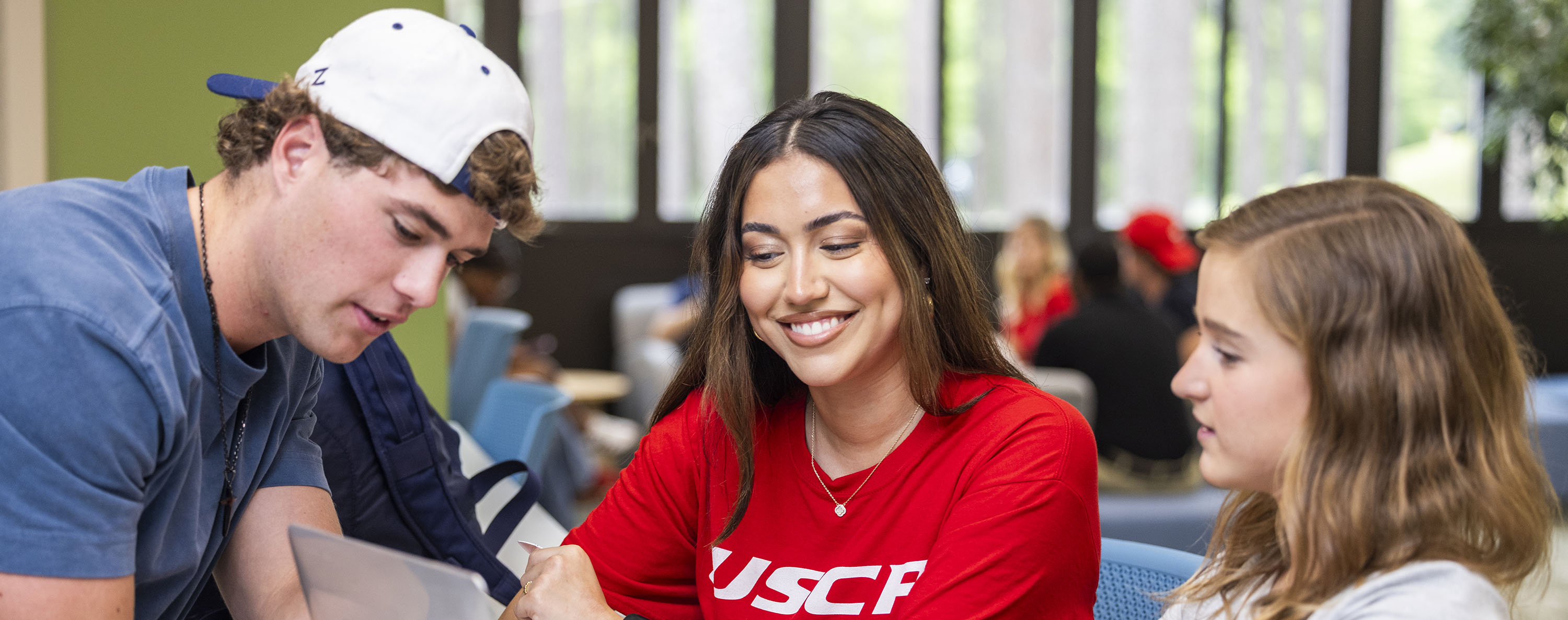 Business Administration in Accounting | USCA