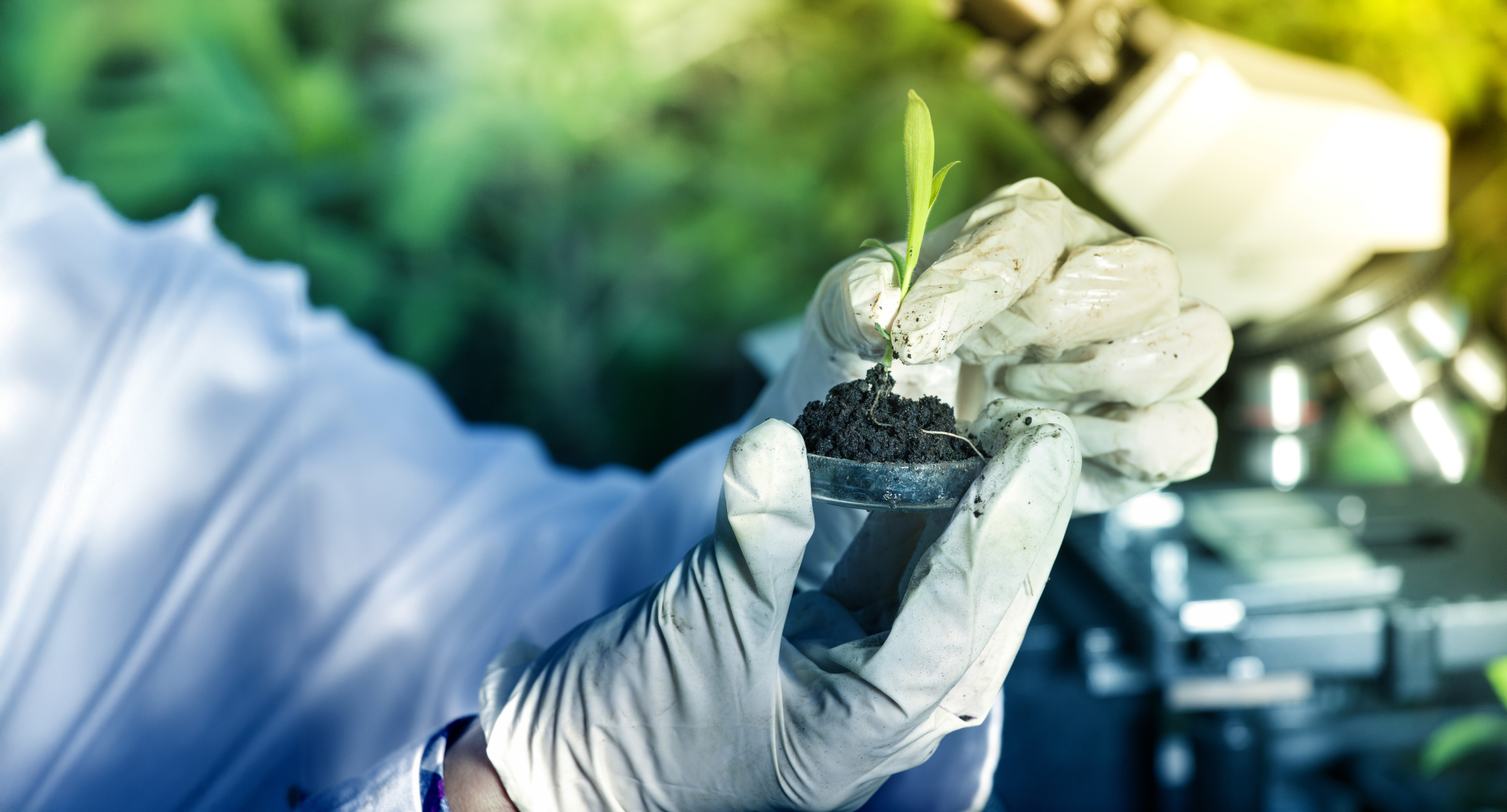 Environmental Earth Systems | USCA