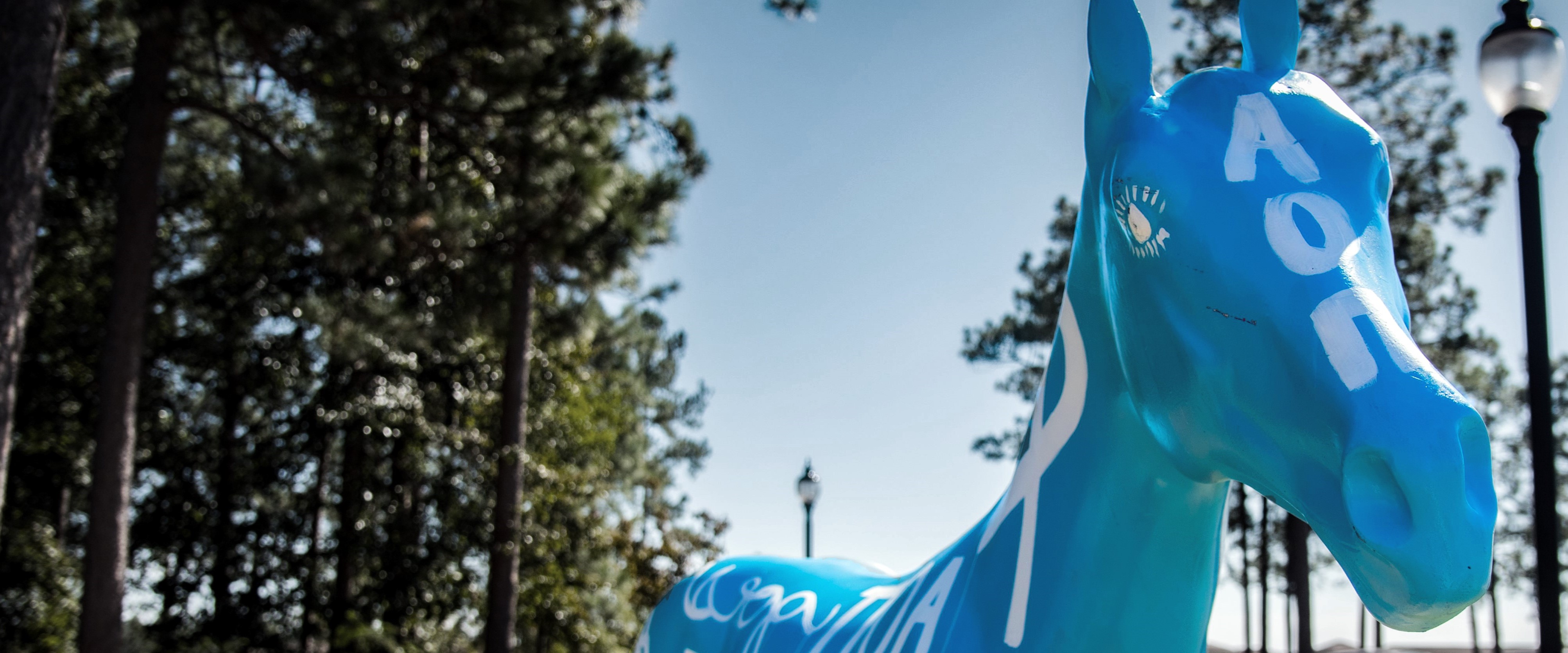 Order of Omega | USCA