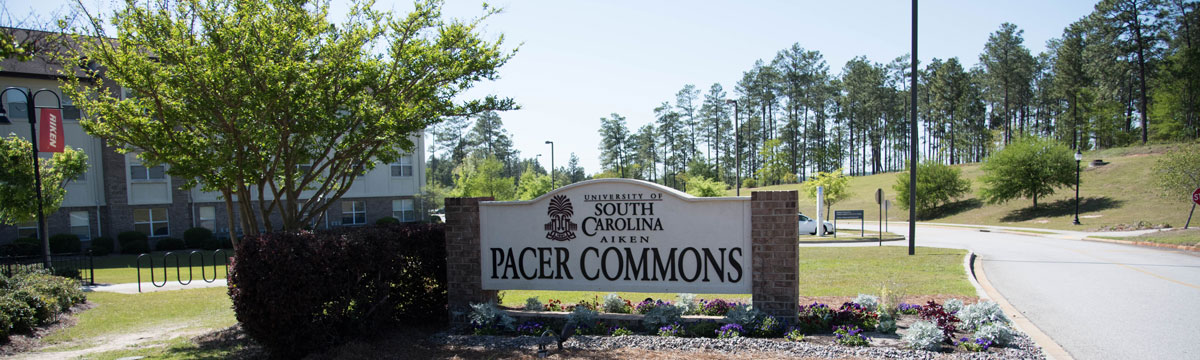 Pacer Commons | USCA